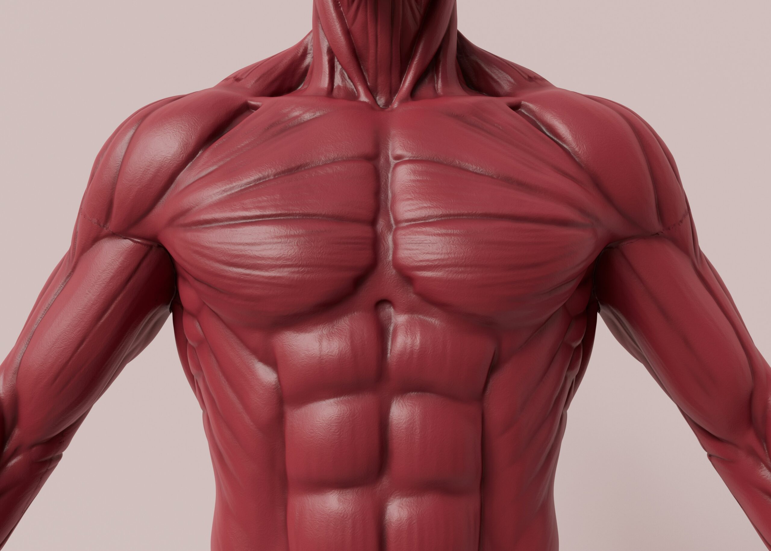 Tight Fascia, Chronic Pain, and Stress: The TMS Connection